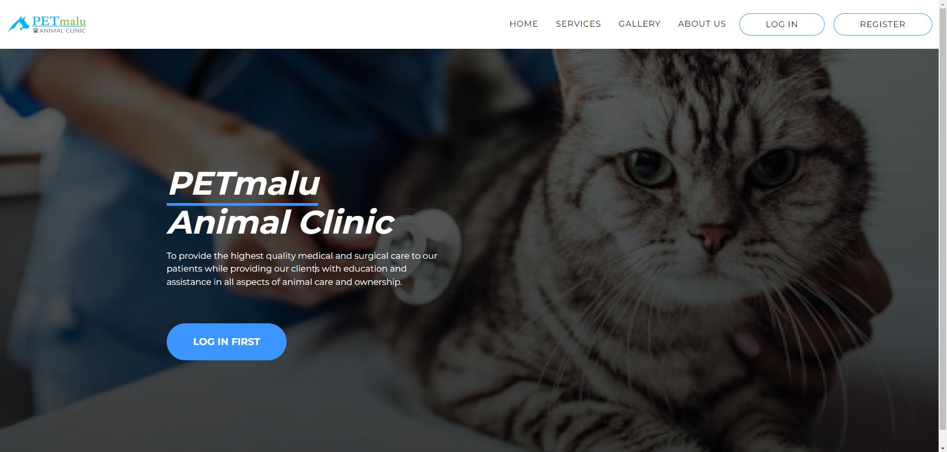 Mark Aldrin — Front End Developer / Graphic Designer