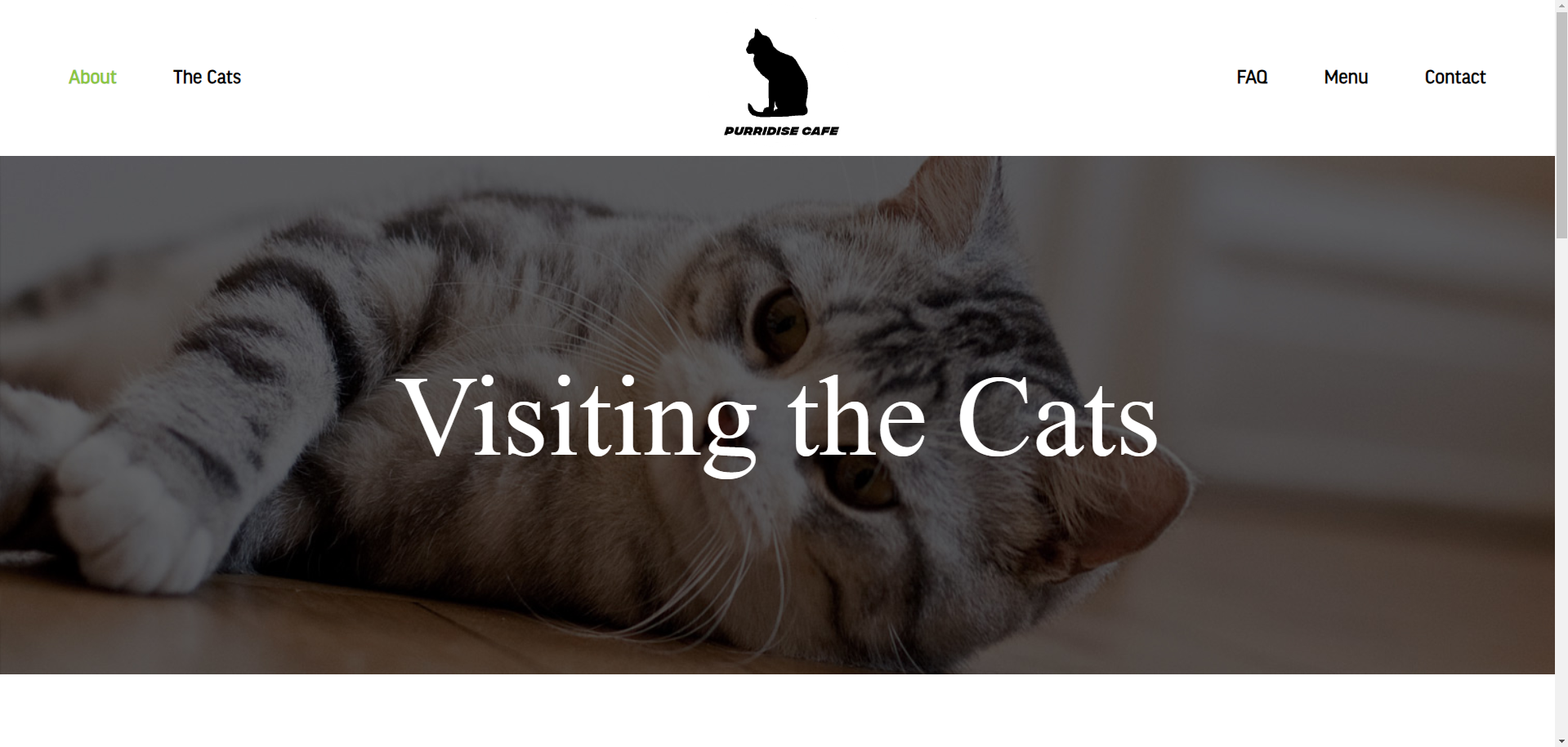 Mark Aldrin — Front End Developer / Graphic Designer